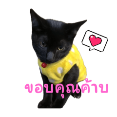 Bailey_20240407004254 – LINE stickers | LINE STORE