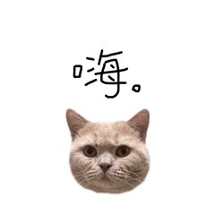 Lizz is coming . – LINE stickers | LINE STORE