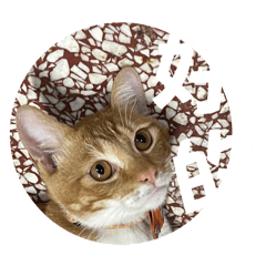YinJun_20240411101026 – LINE stickers | LINE STORE