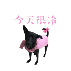 Yuri the Cutie – Stickers LINE | LINE STORE