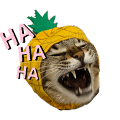 Andy Hsieh_20240428150604 – LINE stickers | LINE STORE