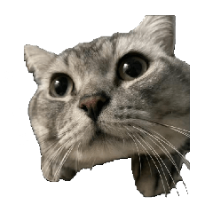 sherry_9578_20240430230754 - LINE スタンプ | LINE STORE