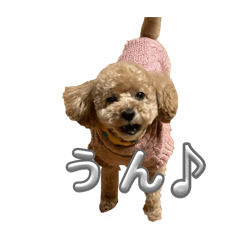 marinn_20240502152216 - Stiker LINE | LINE STORE