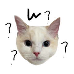 rata_20240514222807 – LINE stickers | LINE STORE