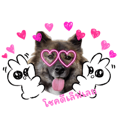 The Si Moi – LINE stickers | LINE STORE