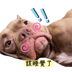 Ruuuu_20240524220637 - LINE スタンプ | LINE STORE