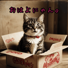 Real meow Sticker – LINE stickers | LINE STORE