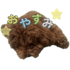 karapi_20240530221305 – LINE stickers | LINE STORE