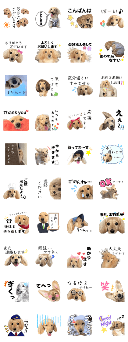 【スタンプ無料GET!】 ダックスあむ3｜ Stampick! （スタンピック）