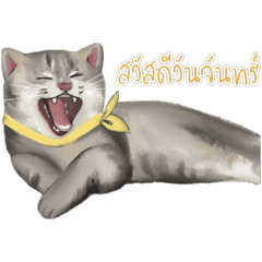 Popa the Cat 01 (Thailand) : 7 Days - LINE スタンプ | LINE STORE