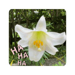 Ben Mark_20240611122514 – LINE stickers | LINE STORE