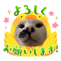 nabisco_20240613225308 - Stiker LINE | LINE STORE