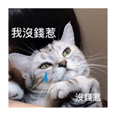 Enid_20240616131648 – LINE stickers | LINE STORE