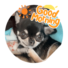 COCOchan stamp Part1 – สติกเกอร์ LINE | LINE STORE