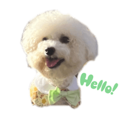 Edwina_20240630095111 – LINE stickers | LINE STORE