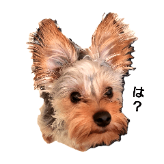 guleum_20240630020202 – LINE貼圖 | LINE STORE