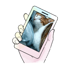 Fong_20240706013639 - LINE スタンプ | LINE STORE