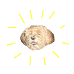 OMITA_20240707214601 – LINE stickers | LINE STORE