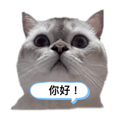 Howard chou_20240711124044 - LINE スタンプ | LINE STORE