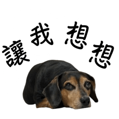 Chi Chou_20240712135601 – LINE stickers | LINE STORE