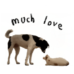 much love – Stickers LINE | LINE STORE