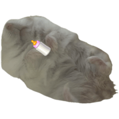tty_20240724014554 - LINE スタンプ | LINE STORE
