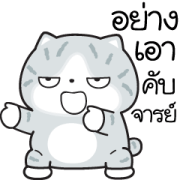 Munkaew Funny Cat V.7 – LINE stickers | LINE STORE