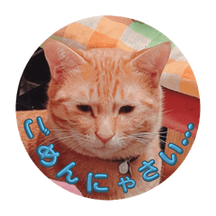 Koppepan_20240801203546 – LINE stickers | LINE STORE