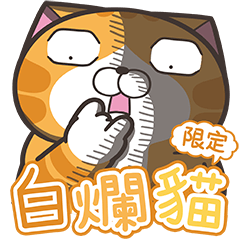 Lan Lan Cat - Sticker Arranging – LINE stickers | LINE STORE