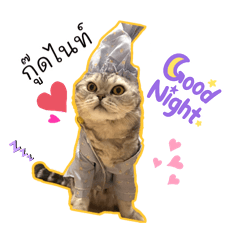 som.som_20240804121756 – LINE stickers | LINE STORE