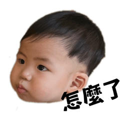 Cheng Chu_20240805110755 – LINE stickers | LINE STORE