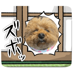 Angelo_20240820151214 – สติกเกอร์ LINE | LINE STORE