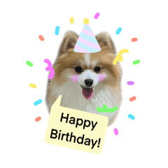 Kaitoon the Hutches 2 - LINE スタンプ | LINE STORE