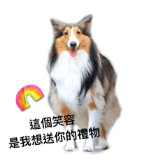 Hsin Hsin creation_20240902130616 – LINE stickers | LINE STORE