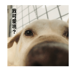 Xianjun – LINE stickers | LINE STORE