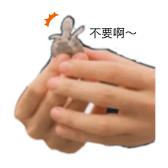 Lin&Rui - LINE スタンプ | LINE STORE