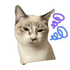 Emma-Stamp:) – LINE stickers | LINE STORE