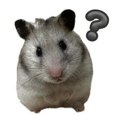 QAQ_20241017164605 - LINE スタンプ | LINE STORE