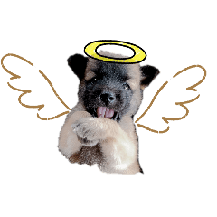 Dog&cat02 - Stiker LINE | LINE STORE