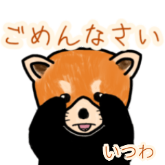 Itsuwa's lesser panda - Stiker LINE | LINE STORE