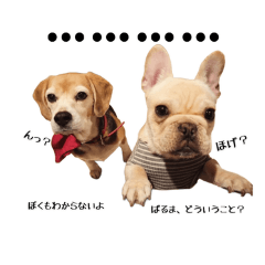 POP Co., Ltd._20241023163550 – LINE stickers | LINE STORE