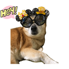 yapo_20241024181528 – LINE 스티커 | LINE STORE