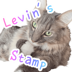 Levin's Sticker – LINE貼圖 | LINE STORE