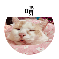 Rayna Cat 2.0 – LINE stickers | LINE STORE
