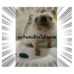 Lonely_20241031140915 – LINE stickers | LINE STORE