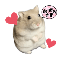 yuu.m_20241031203904 – LINE 스티커 | LINE STORE