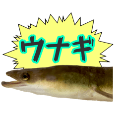 Anguilla japonica – LINE stickers | LINE STORE