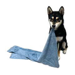 Koma_haha – LINE stickers | LINE STORE