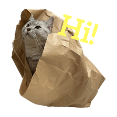 Ping_20241203071722 – LINE stickers | LINE STORE