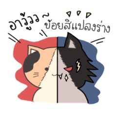 Orange cat hello – LINE stickers | LINE STORE